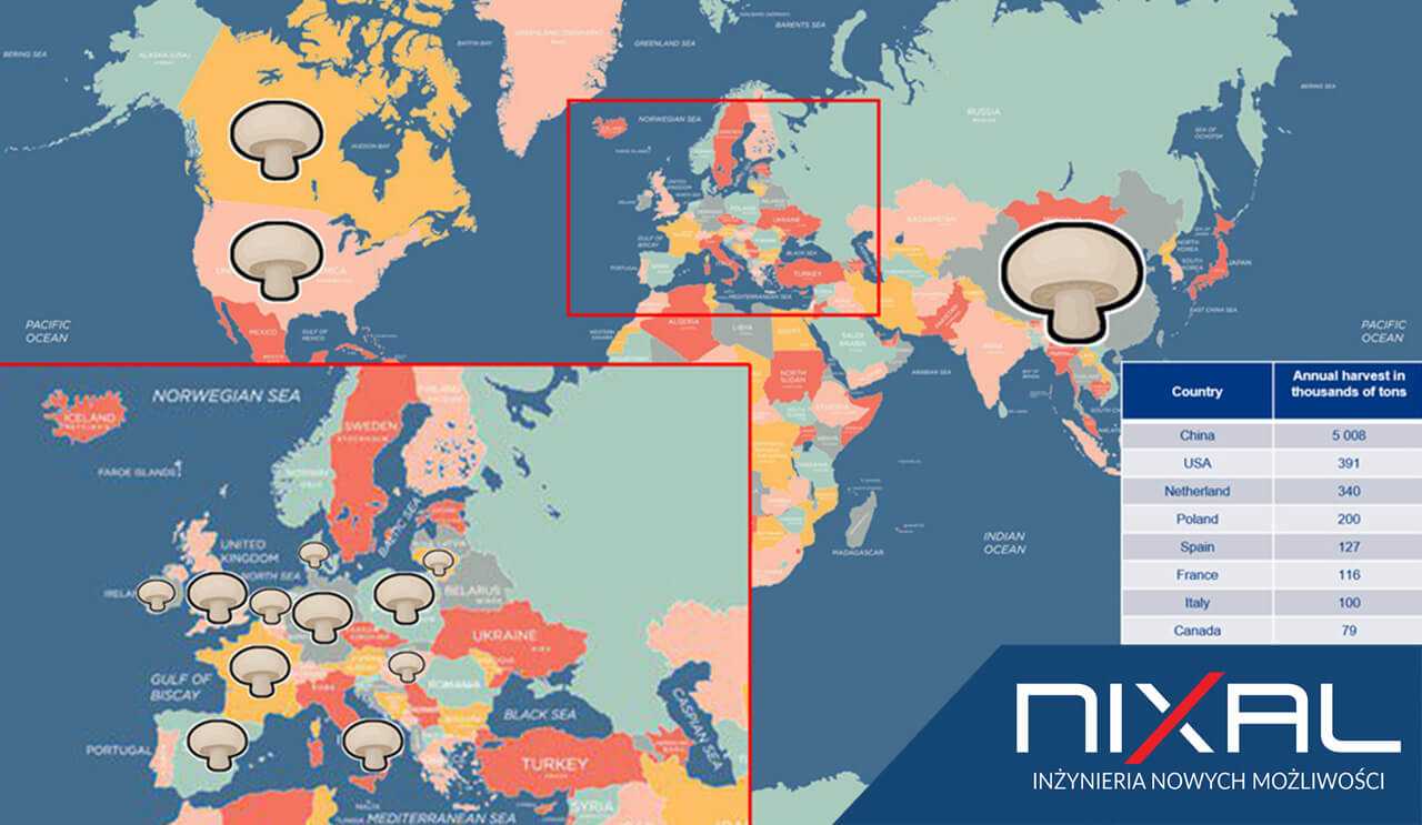 Przenośnik taśmowy, grawitacyjny, zabierakowy - budowa i schemat | NIXAL
